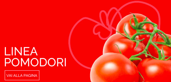 Negozio Italiano: l'ecommerce alimentare di qualità